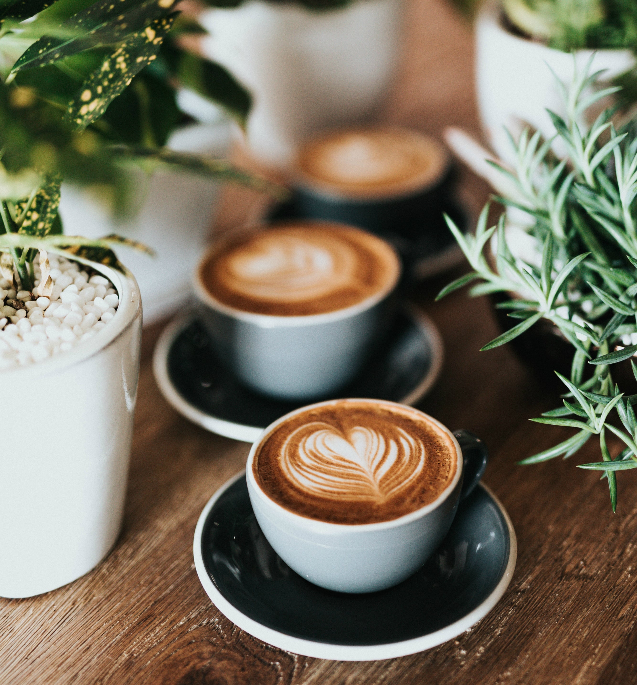 Brown & Jenkins Signature Coffee Blends - 10 oz. – Brown & Jenkins ...