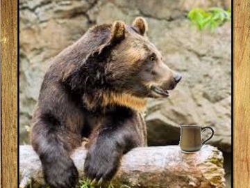 Products – Brown & Jenkins - The Vermont Coffee Roasters